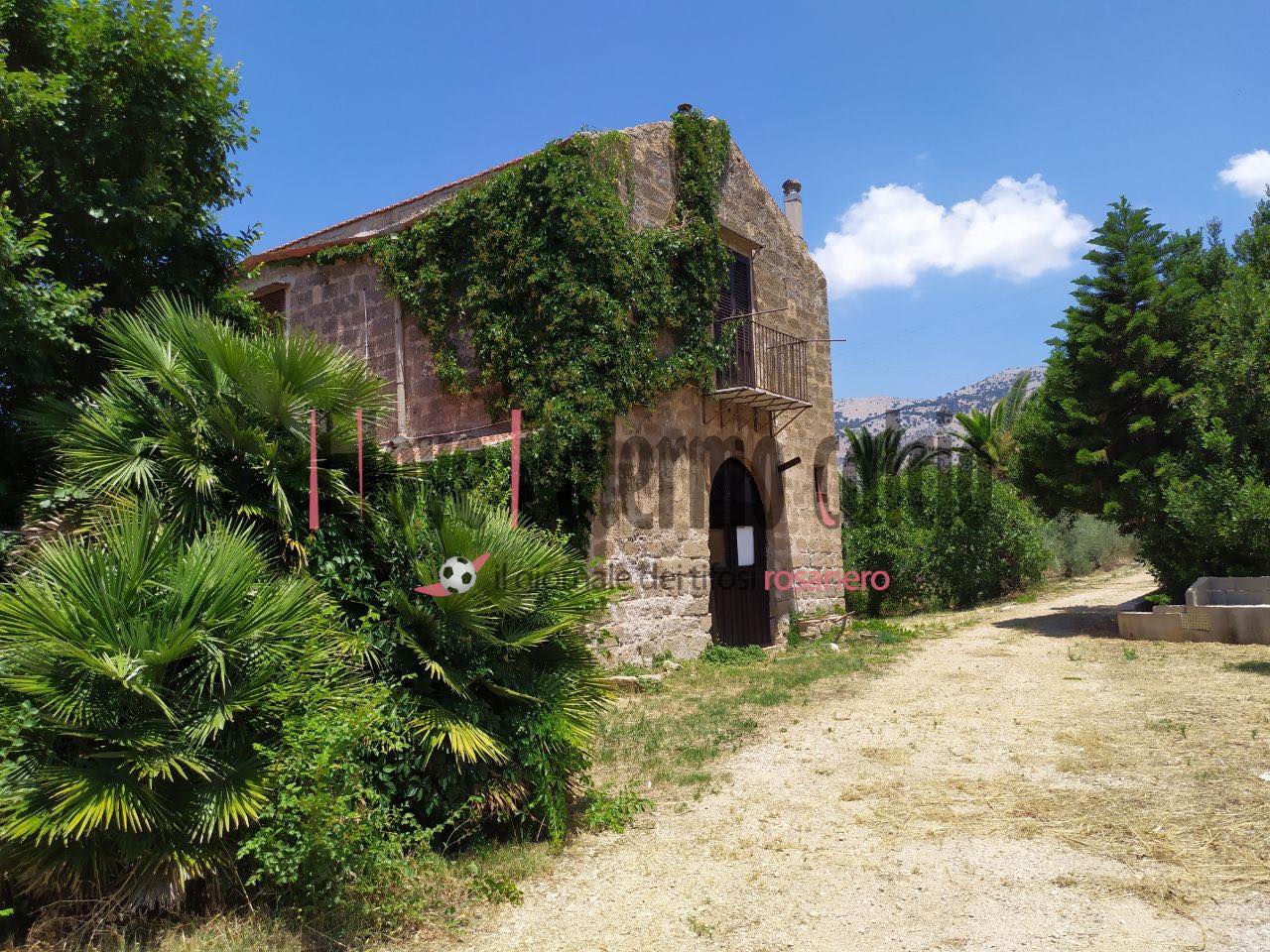 Repubblica: "Palermo, il prossimo ritiro a Torretta. C'è la data e il ...